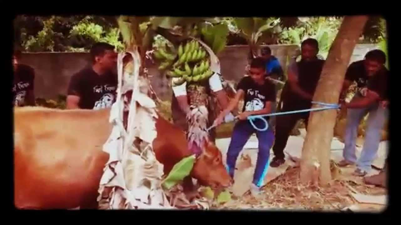 2barkment 2015 @Belvedere(1)-FAST FEROSS TEAM★☆★ - YouTube