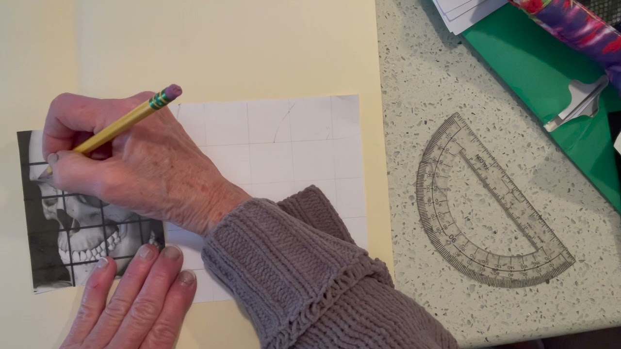 Gridded Skull part 1 - YouTube