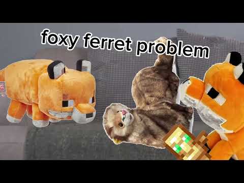Foxy ferret problem - YouTube