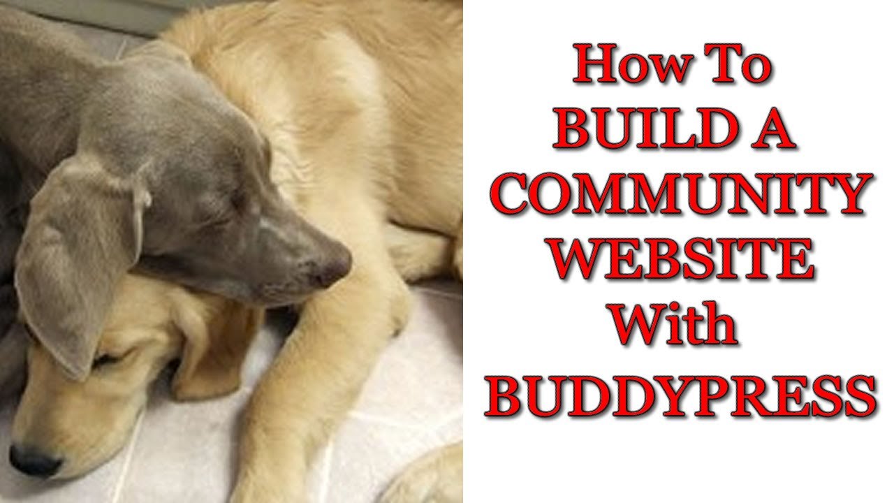 How To Build A Community Website With BuddyPress - YouTube