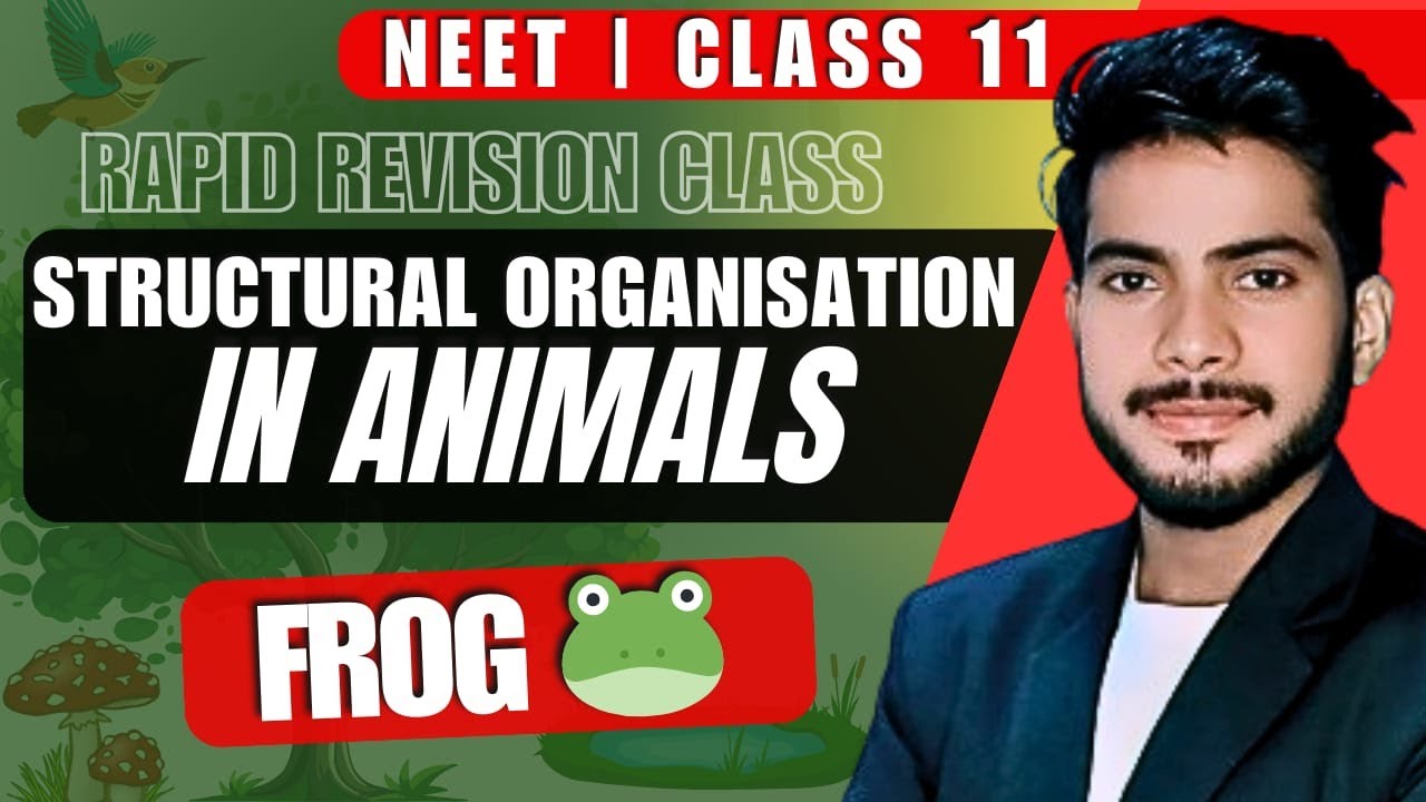 STRUCTURAL ORGANISATION IN ANIMALS -1 | FROG : NEET | CLASS 11 | NCERT ...