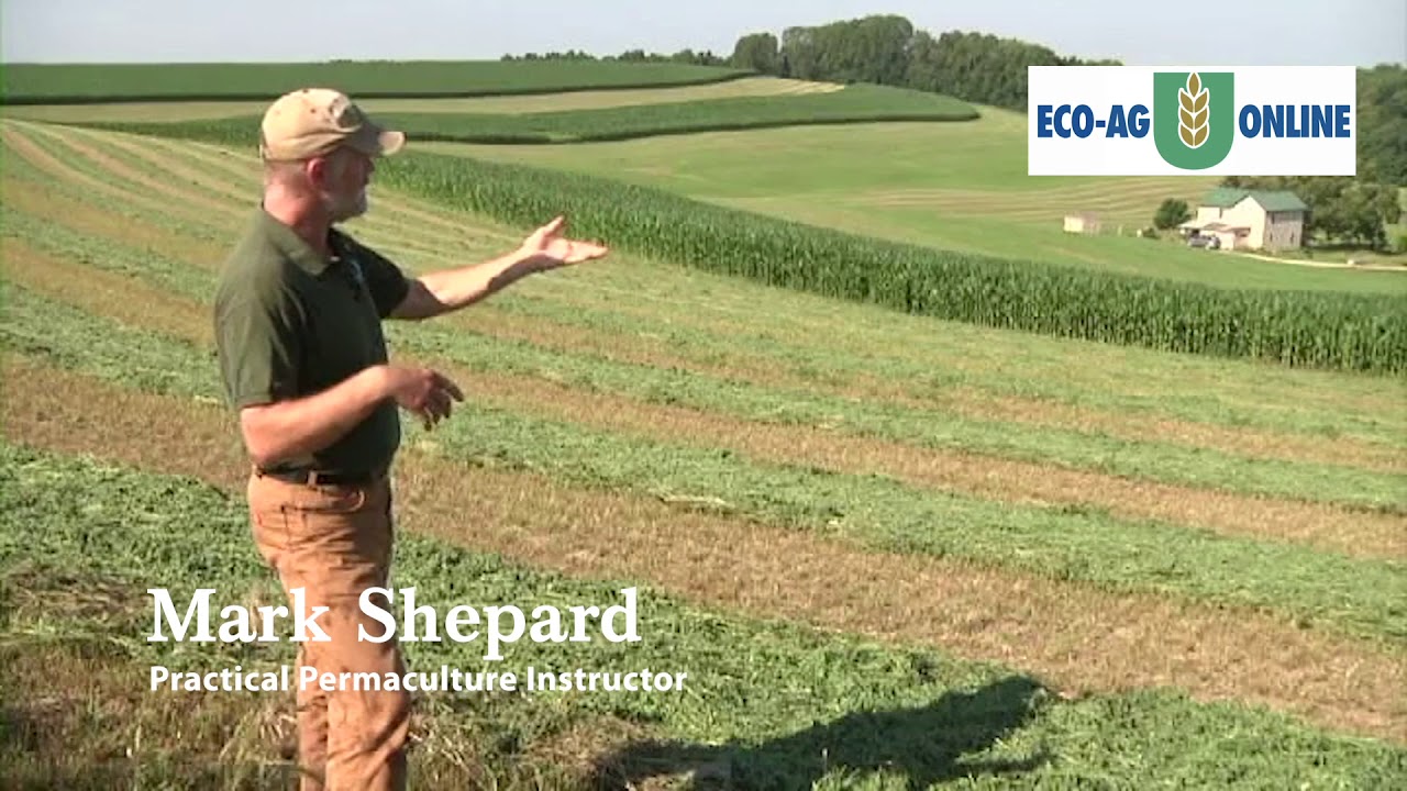 Practical Permaculture Online Course Lesson: Learn Contour Farming ...