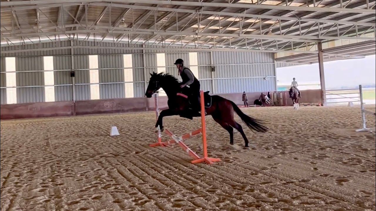 Sunday Vlogs // Jumping London and Progress Update - YouTube
