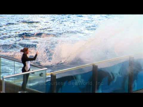 30 sec commercial video storyboard - YouTube