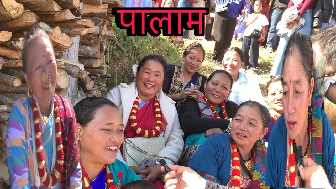 ओर्गानीक पालाम limbu palam, new limbu palam, hit limbu palam, old limbu ...