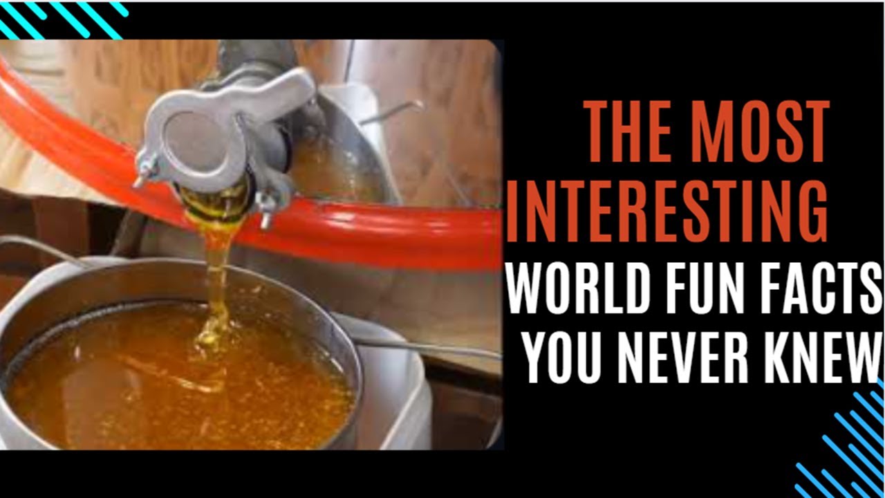 THE MOST INTERESTING WORLD FUN FACTS YOU NEVER KNEW! - YouTube