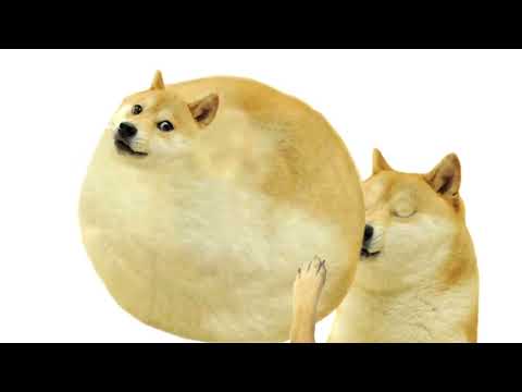 Doge Balloon Inflation (NON POPPING Version)