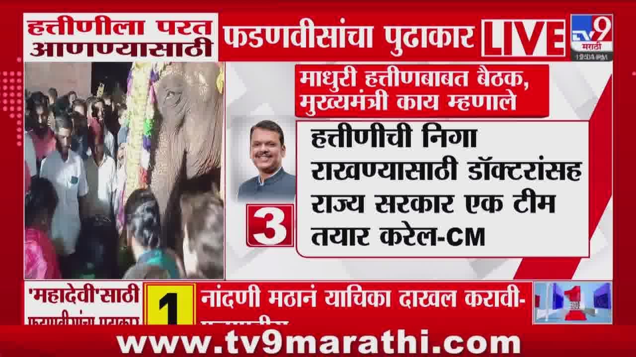 Mahadevi Hattini | महादेवी हत्तीणीसाठी मुख्यमंत्र्यांचा पुढाकार ...