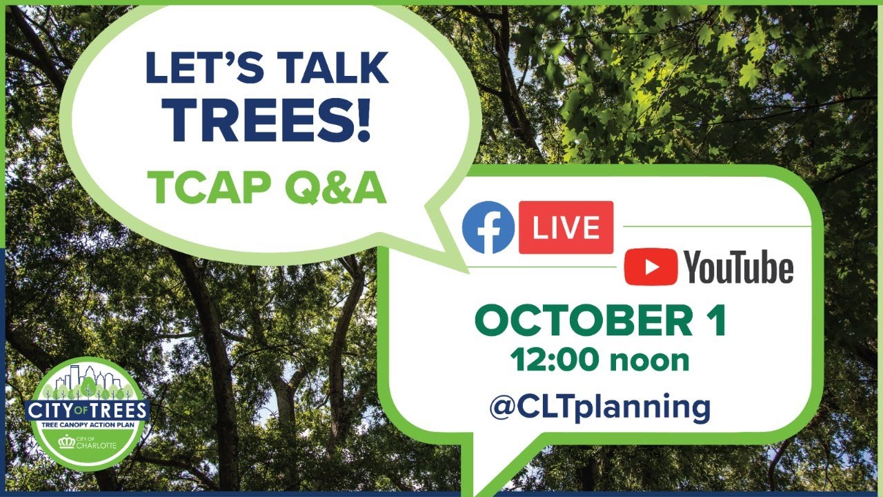 Tree Canopy Action Plan (TCAP) Live Q&A : October 1, 2020 - YouTube