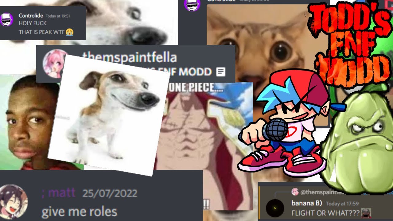 What The Dog Doin? Friday Night Funkin' - Full Combo!! - Todd FNF Modd ...