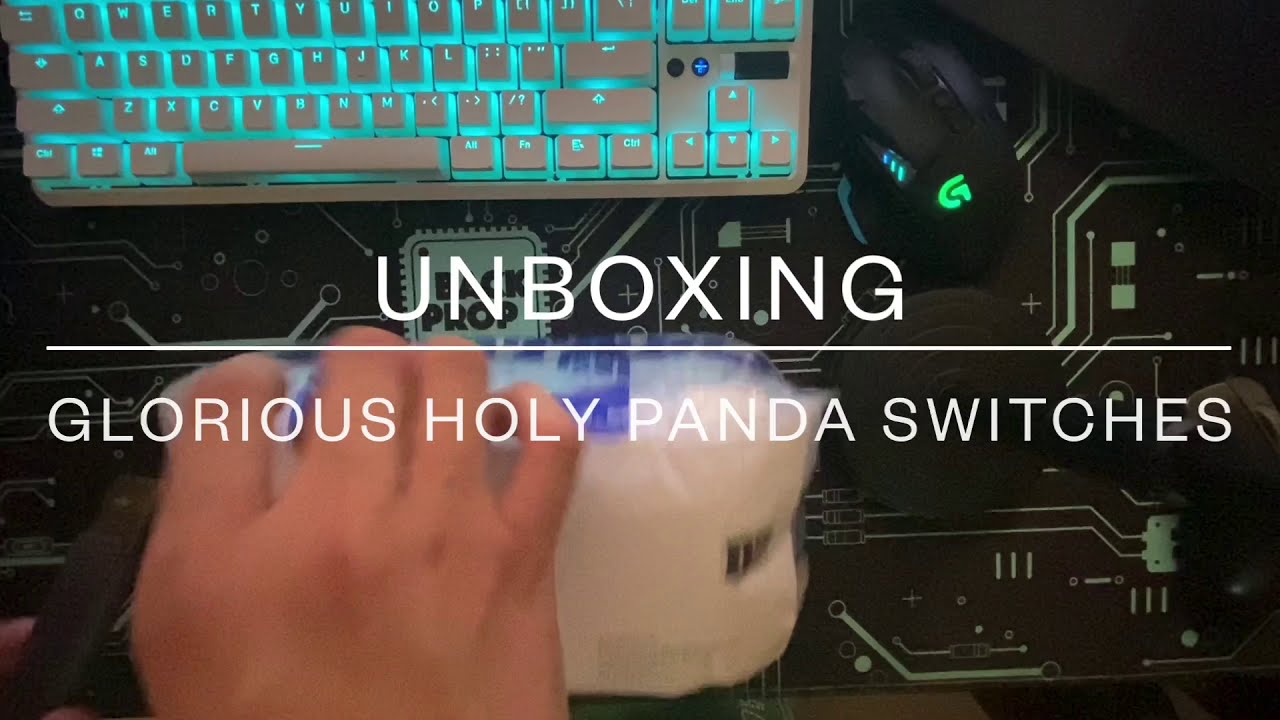 Glorious Holy Panda Switches - Unboxing - YouTube
