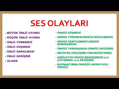 Ses Bilgisi Konu Anlatımı - Uygulama