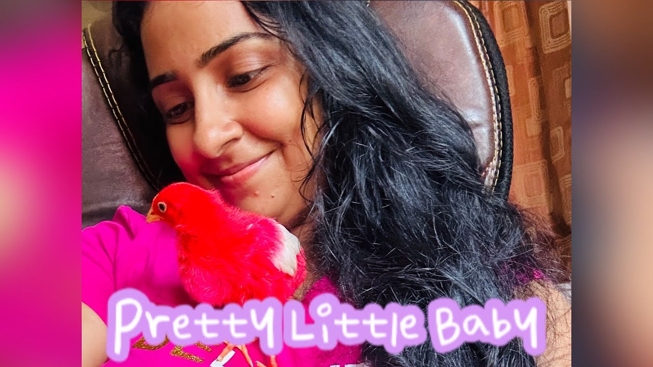 Pretty little baby | Asmita Bhattacharjee | Guitar Cover - YouTube