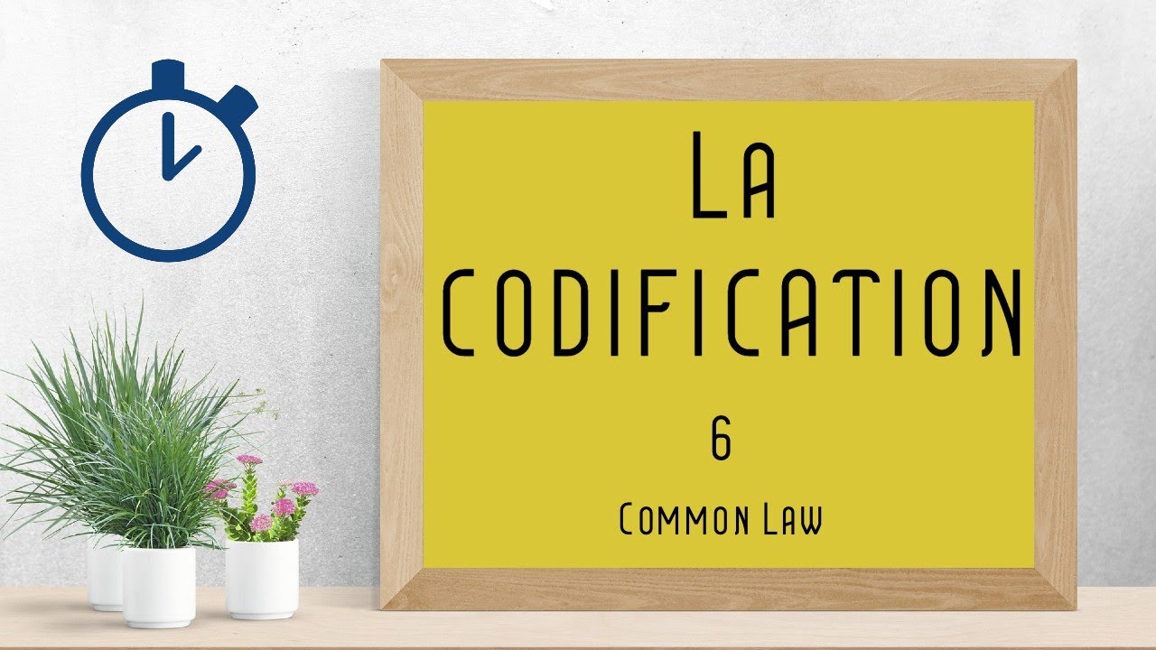 Codification en common law : [ Common Law 6/8 ] - YouTube