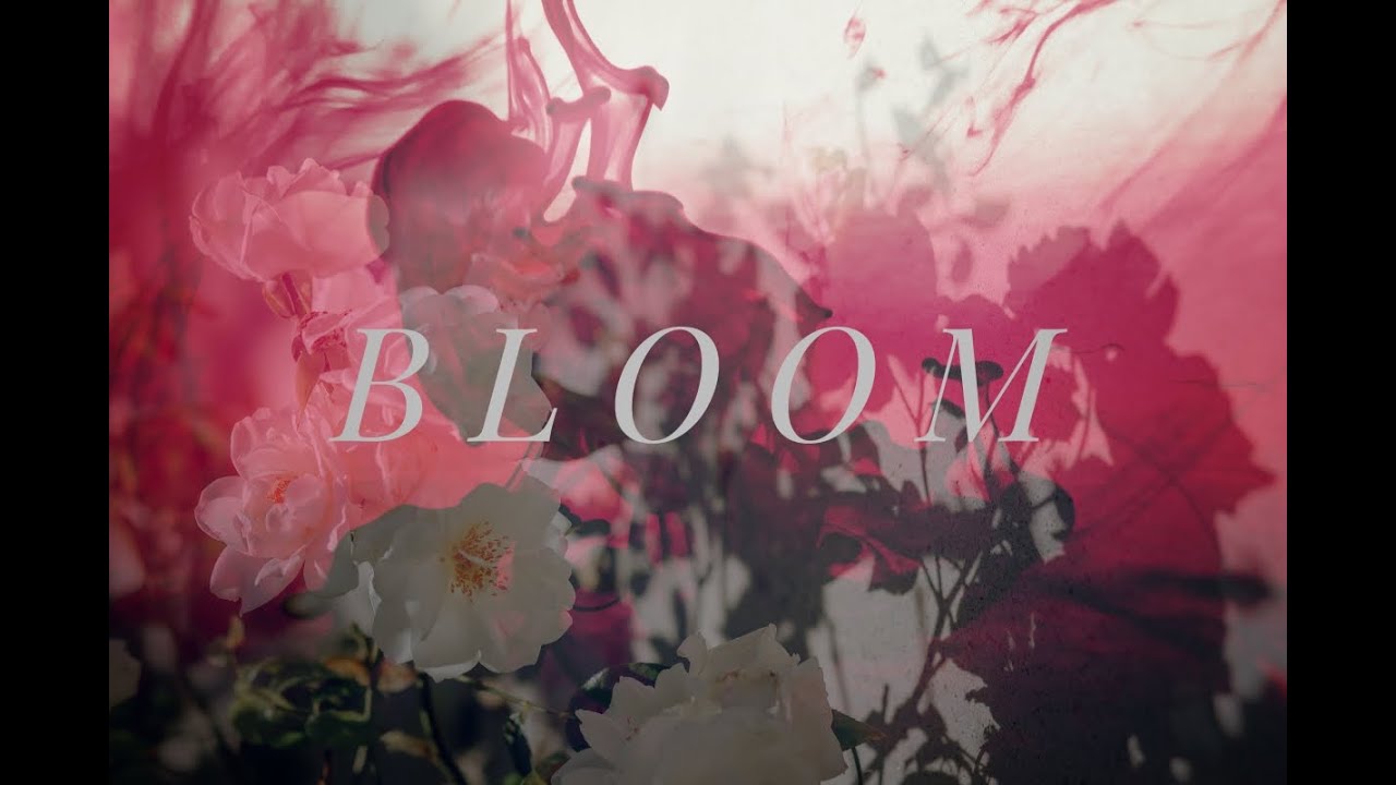Bloom ( A visual film ) - YouTube