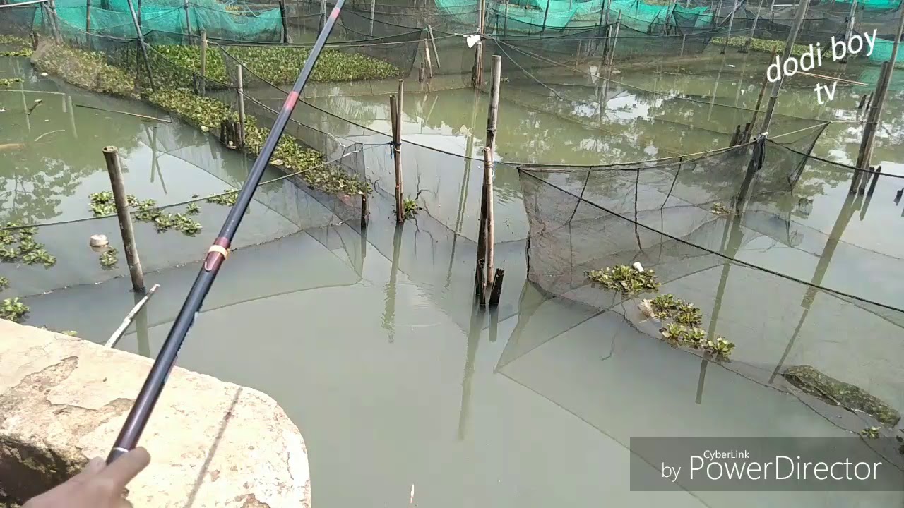 Mancing mania,mantap.part#2. - YouTube