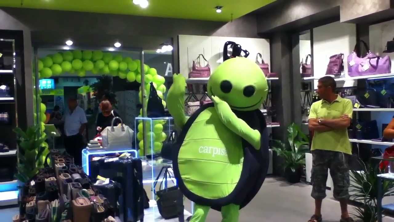 Tartaruga Carpisa // redefinition of disco // Carpisa Turtle Dancing ...