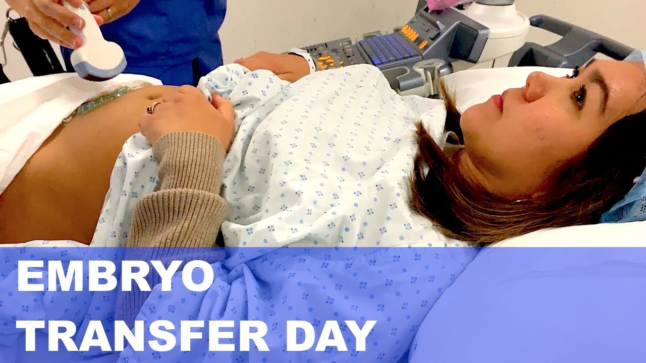 IVF Embryo Transfer - Final Step of The Journey | Vlog 19 - YouTube