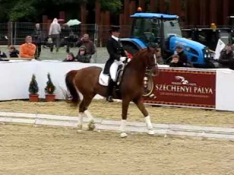 Nemzeti Vágta 2010 Széchelyi pálya, Dallos Zsófia lovaglása ...