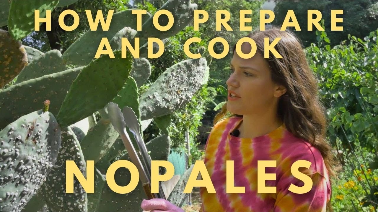 How to Harvest, Prepare, and Cook Nopales Cactus [2 Recipes!] - YouTube
