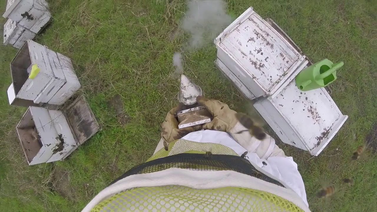 Queen Yard Work Part 7 - YouTube