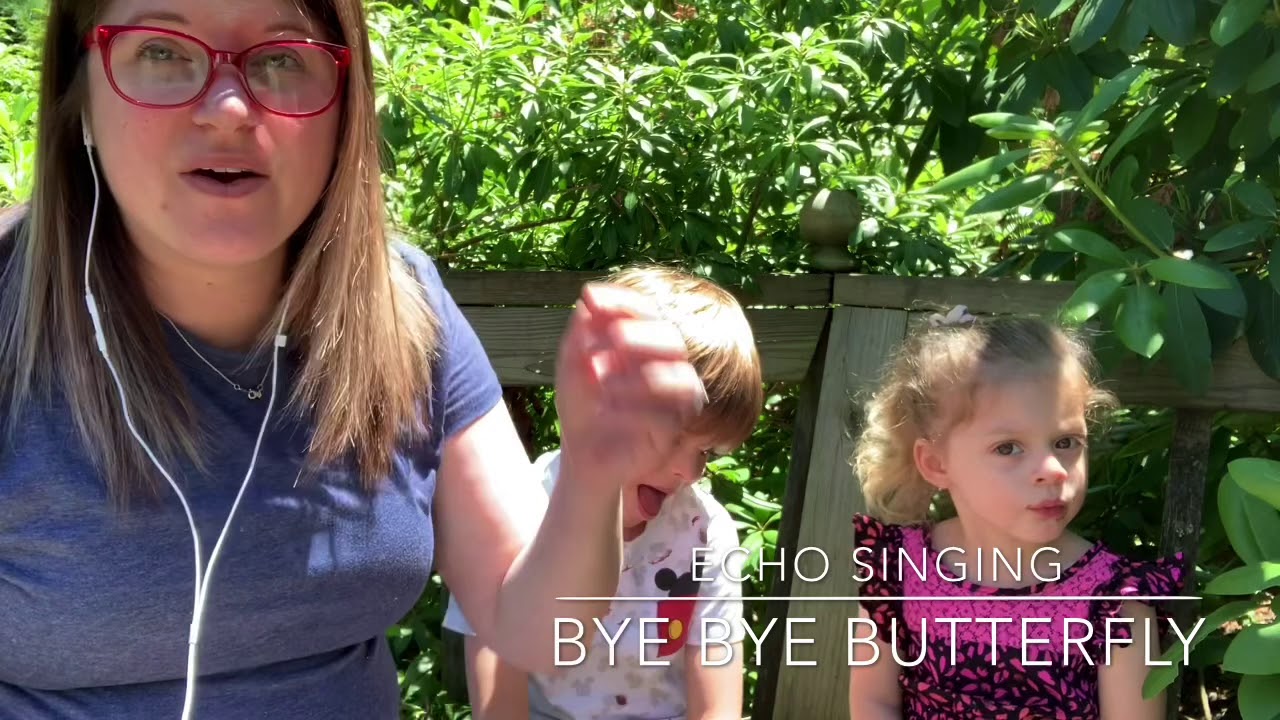 Lesson 65 - Bye Bye Butterfly - Echo Song - Distance Learning ...