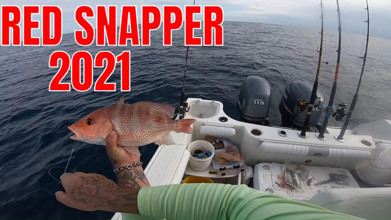 Last day of red snapper weekend 2021 - YouTube