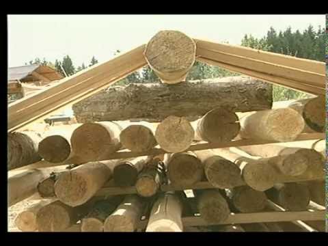 Building log cabin Choose and set aside clean straight logs for sills ...