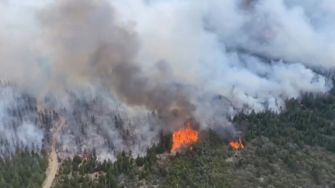 Incendio forestal devora 6.500 hectáreas de bosque en el sur de ...