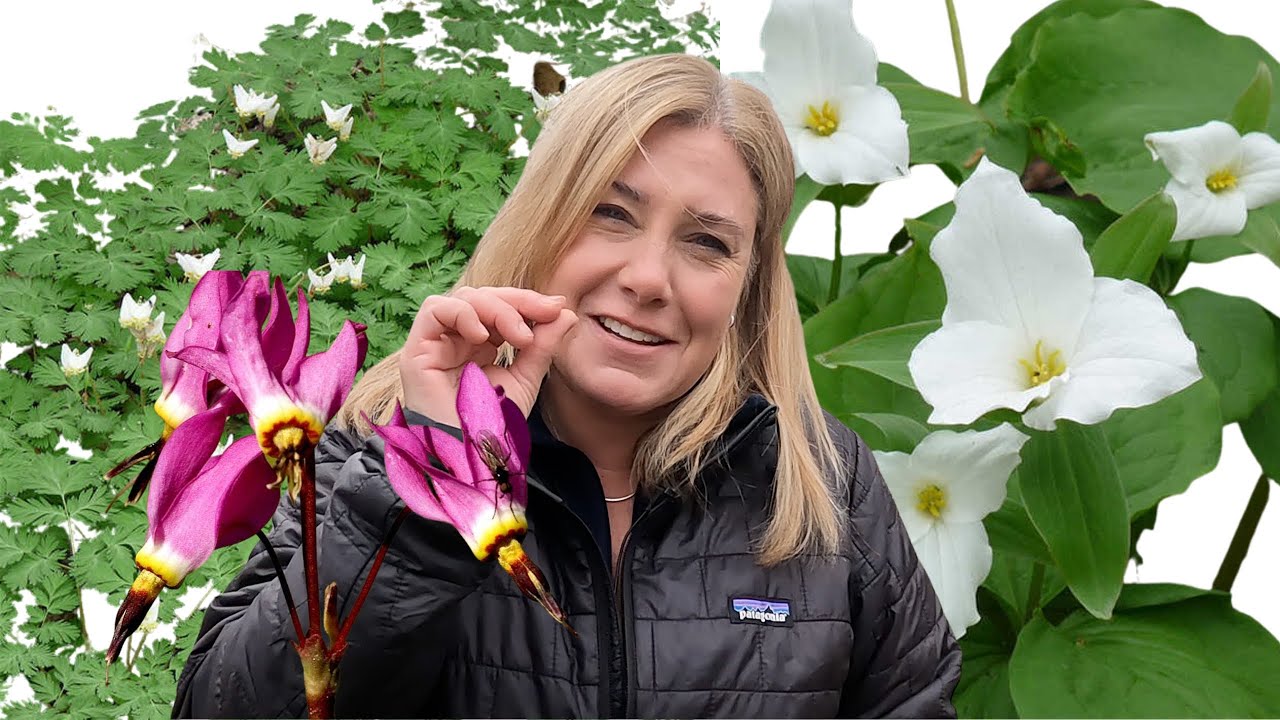 Plant a little bit of magic (aka native woodland spring ephemerals) - YouTube