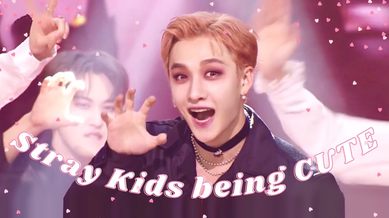 Stray Kids being Cute Kids pt. 18 - YouTube