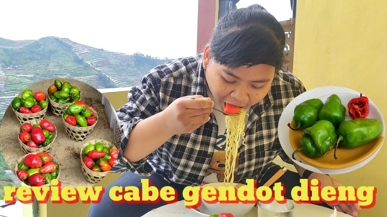 Review Cabe Gendot Dieng - YouTube
