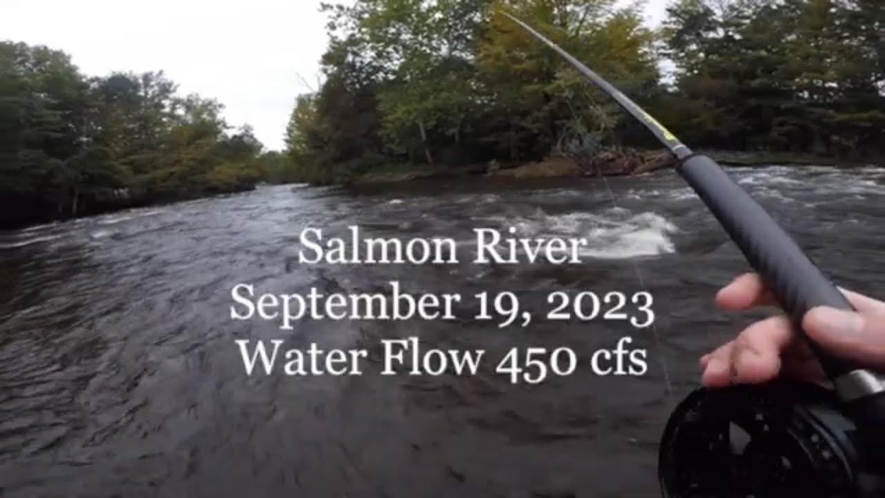 Salmon River Fishing | Baby Steelhead Caught | September 19, 2023 - YouTube