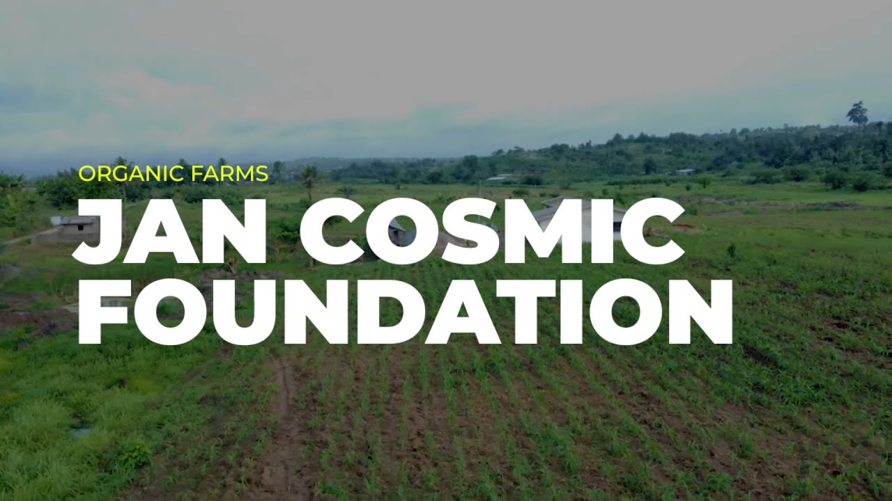Organic Farms by Jan Cosmic Foundation | Dr. Baffour Jan - YouTube