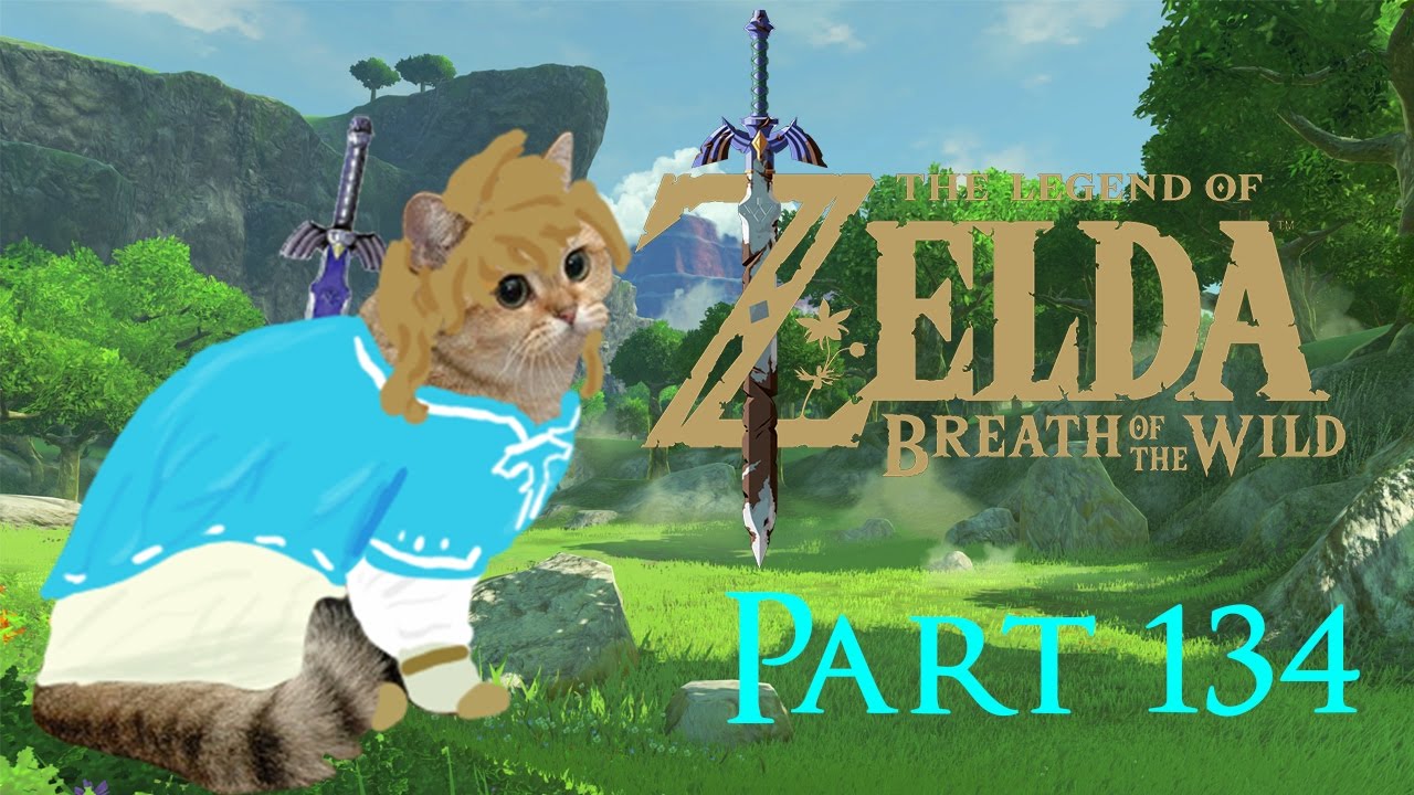 The spring of courage | Legend of Zelda: Breath of the Wild [Wii U ...