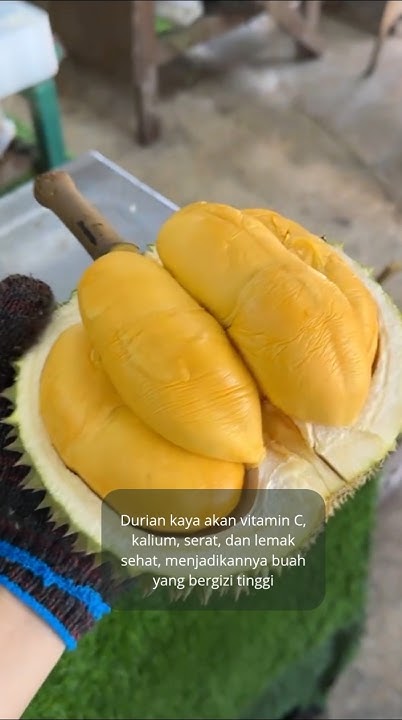 Fakta unik buah Durian #shortvideo #fruit #facts #durian - YouTube