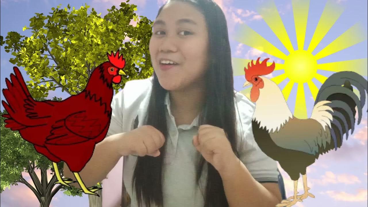 Tiktilaok Sabi Ng Manok Youtube