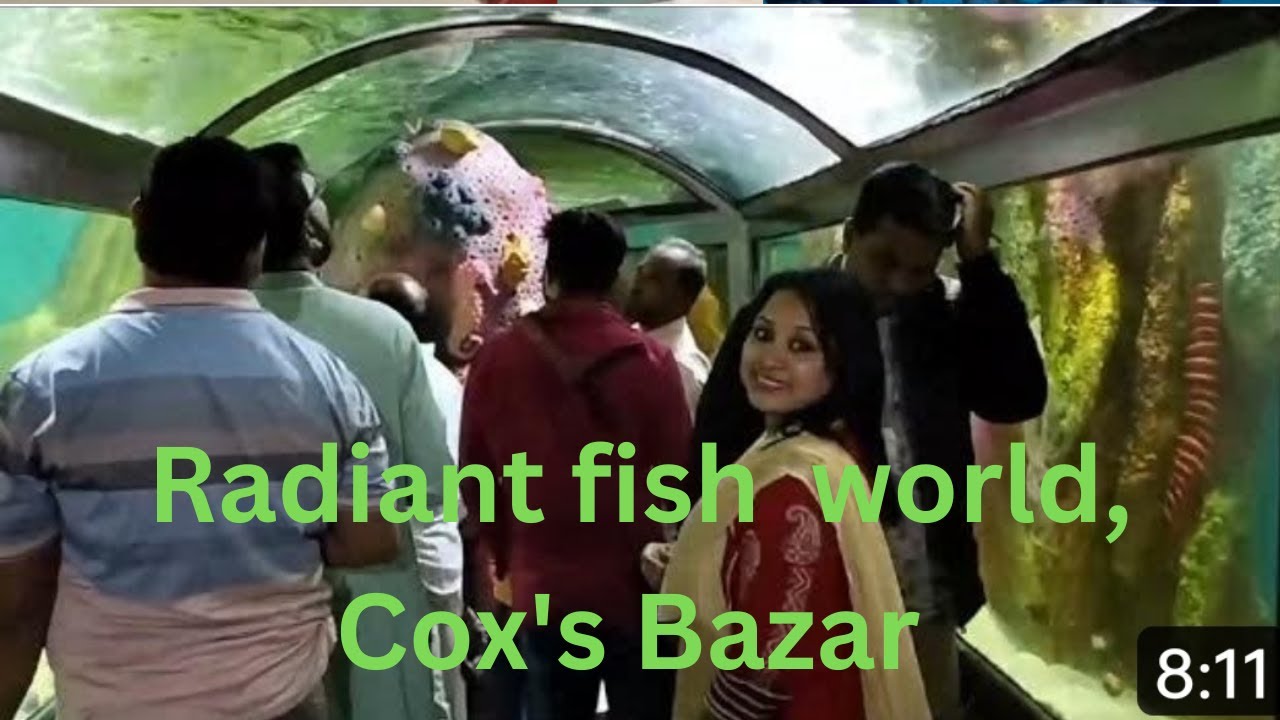 Radiant fish world,Cox's Bazar. (মাছের রাজ্য)। - YouTube