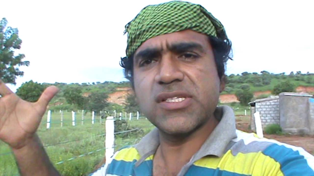 Romans Bani Al-Asfar R actually Indians Now. Peace Treaty with Muslims ...