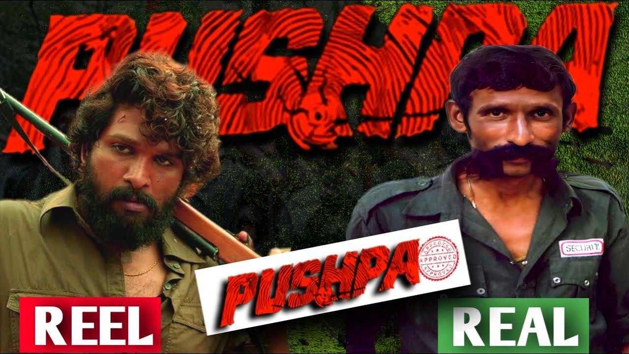 Veerappan ~ Real Life Pushpa | Veerappan India's Biggest Criminal - YouTube