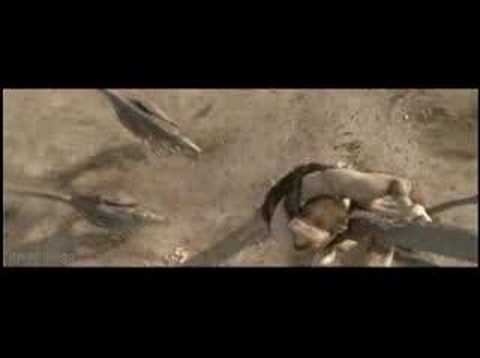 raptorlar yunanlıları avlıyor raptors hunting