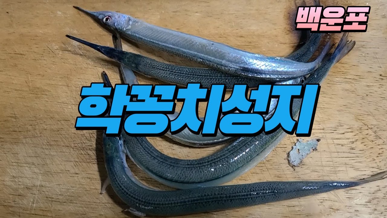 학꽁치성지 부산 백운포 낚시 오륙도 일자방파제 Youtube