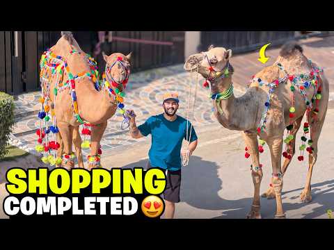 Camels Arrived Home Final night of Mandi😍Boys ny bhi shopping kr li😱