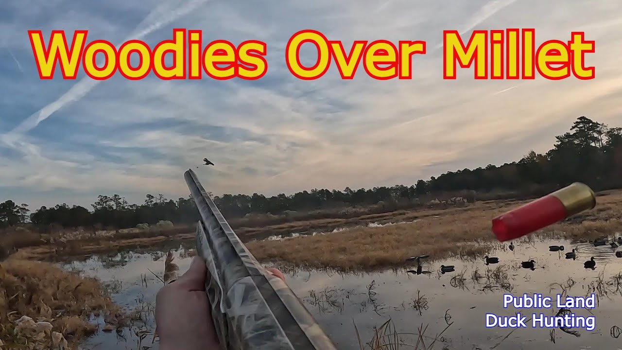North River Gameland | Public Land Duck Hunting in North Carolina - YouTube