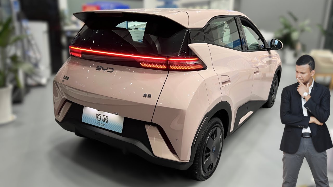 2025 BYD Dolphin(Seagull)MiNi Ev 305km range under $10,000 review | BYD | China - YouTube