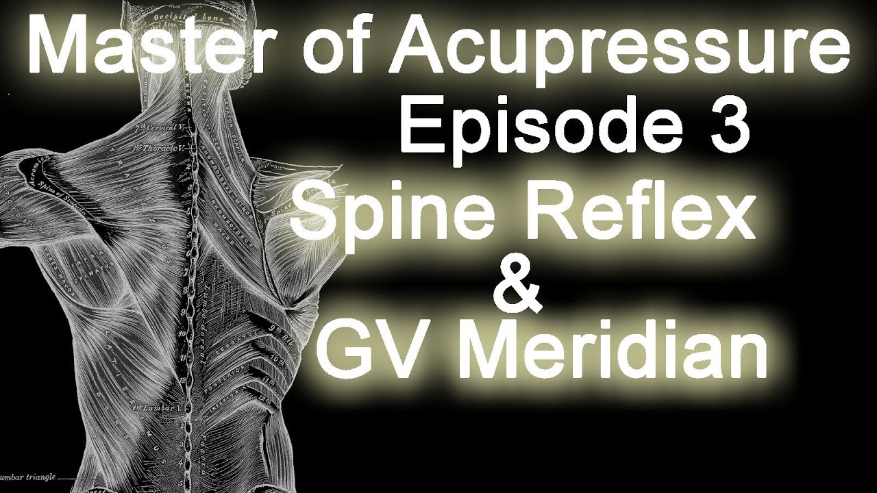 Acupressure Techniques - Spine Reflex and GV meridian - Master of ...