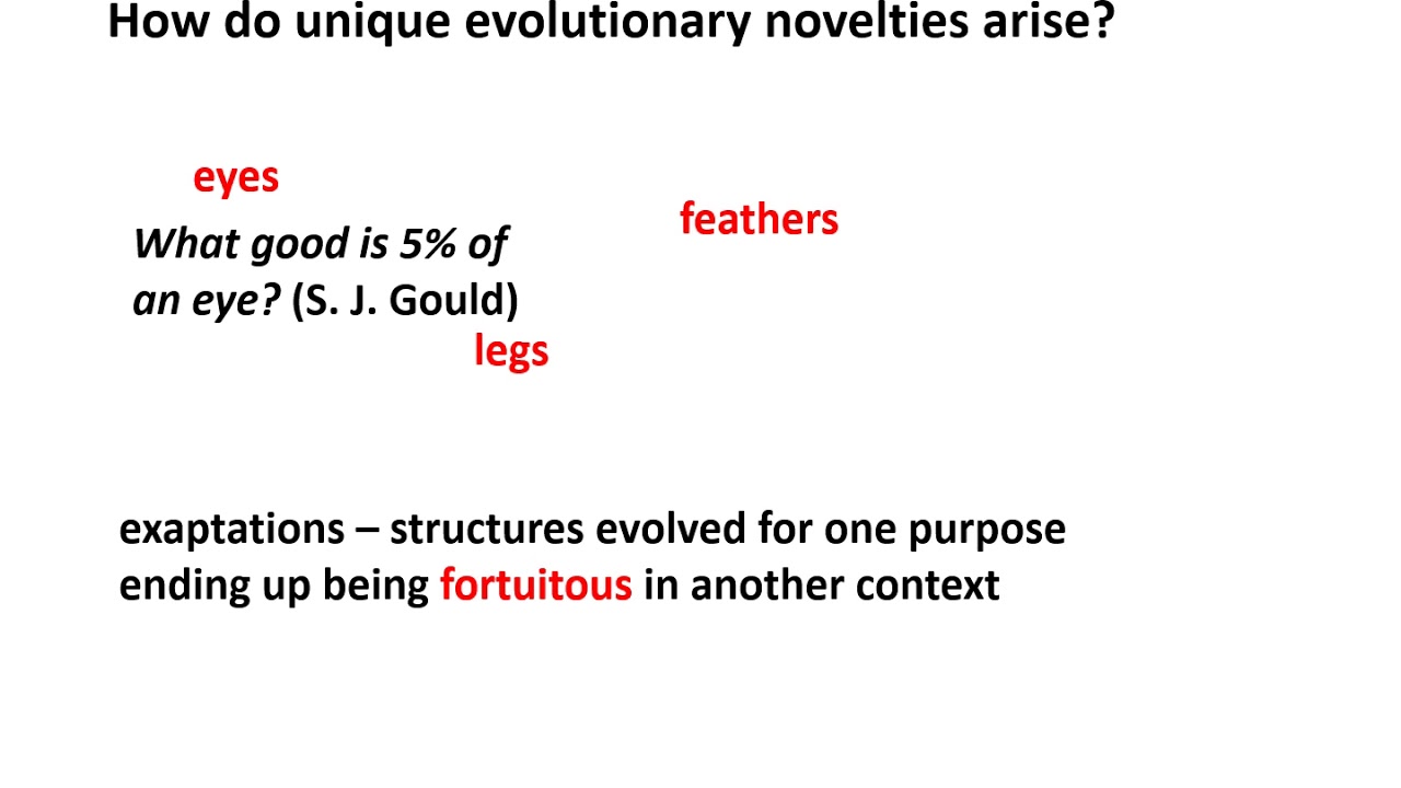 Evolutionary Novelties - YouTube