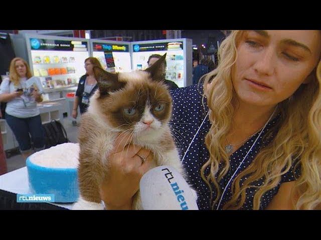 Grumpy Cat Owner What Grumpy Cat Is Worth: Did Tabatha Bundesen's Pet