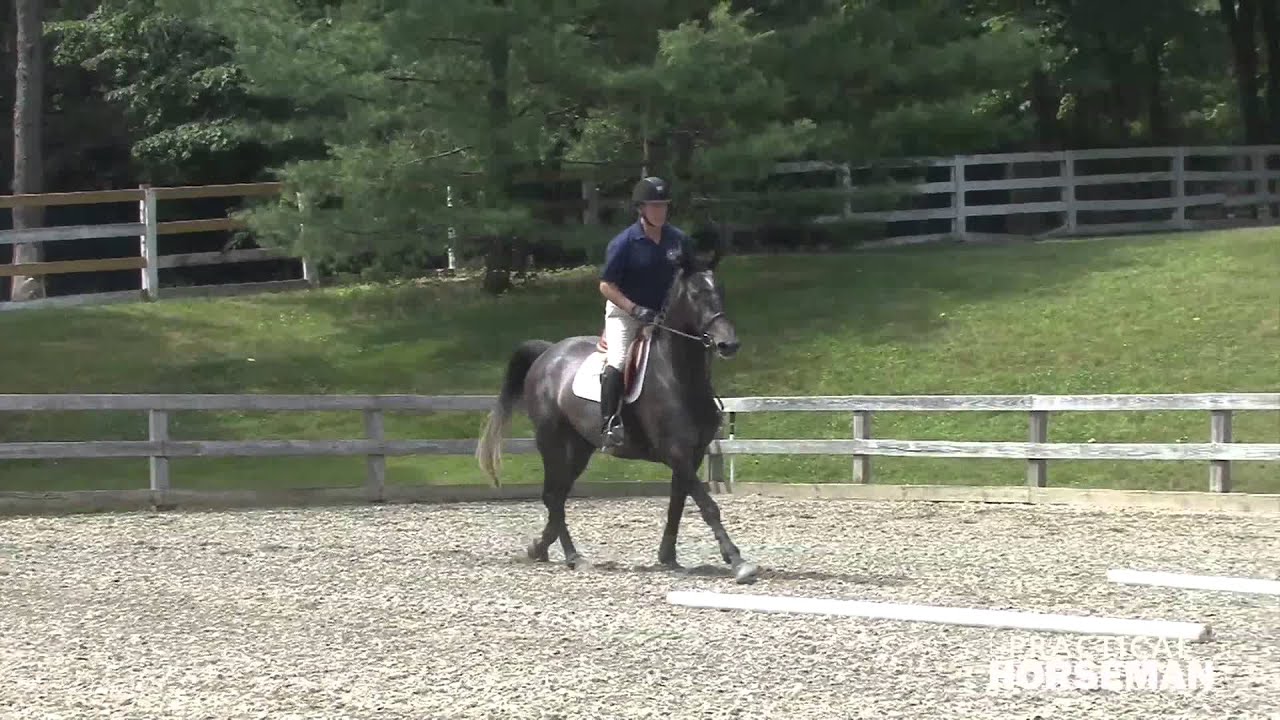 Peter Leone In-and-Outs pt. 1 - YouTube