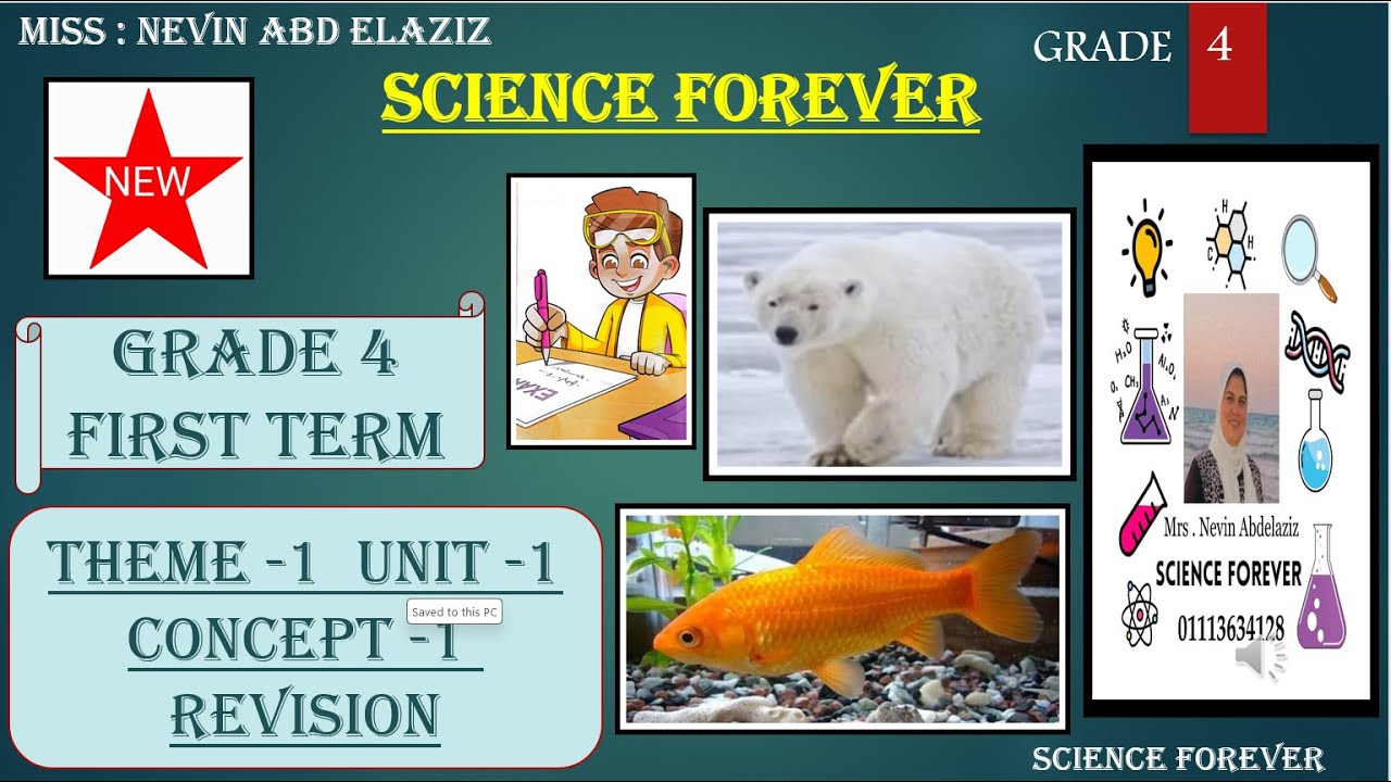 Grade 4 First term science Unit 1 Concept 1 REVISION - YouTube